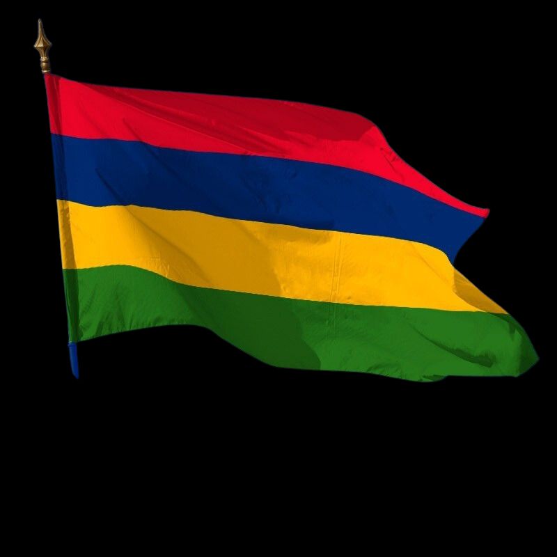 Support des équipes techniques XL-ent, solutions POS MRU